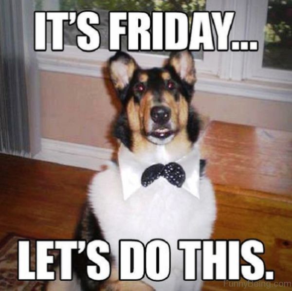 48 Funny Happy Friday Memes | Fresh It's Friday Memes on MemesBams
