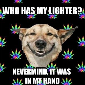 Best Weed Memes - Funny Marijuana and Pot Pics 2023