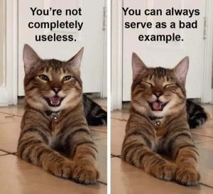 Hilarious Cat Memes to Make You Laugh Right Meow