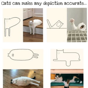 Hilarious Cat Memes to Make You Laugh Right Meow