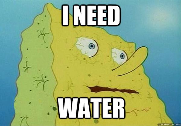 Spongebob Memes Funny Spongebob Squarepants Face Pictures