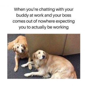 60 Work Memes To Get You Through The Day