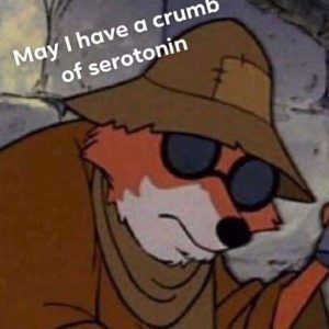 30 Best Sad Memes to Cry Over