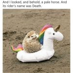 30 Best Sad Memes to Cry Over