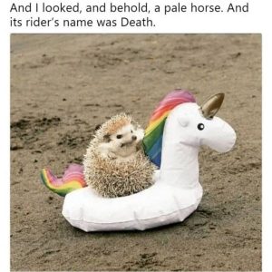 30 Best Sad Memes to Cry Over