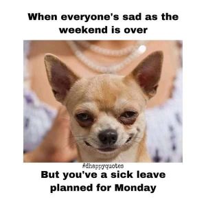60 Work Memes To Get You Through The Day