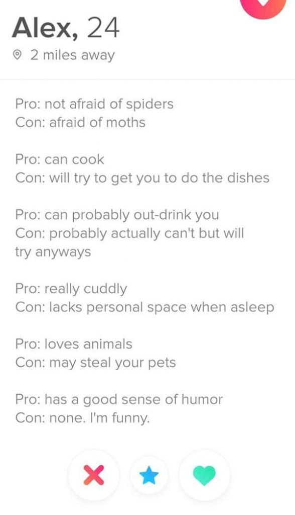 Best Tinder Bio Examples - MemesBams