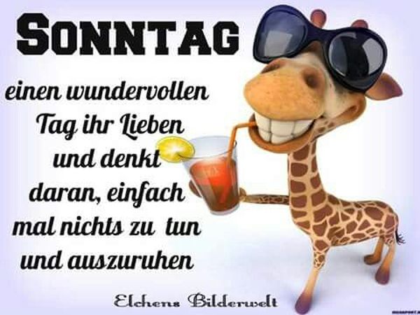Faszinierend Lustige Bilder Schonen Sonntag Fotos